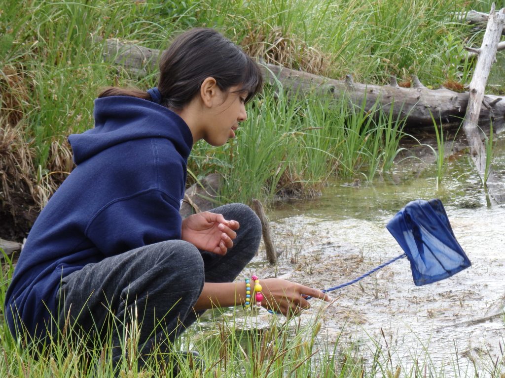 Aquatic Field Study - CPAWS Southern Alberta