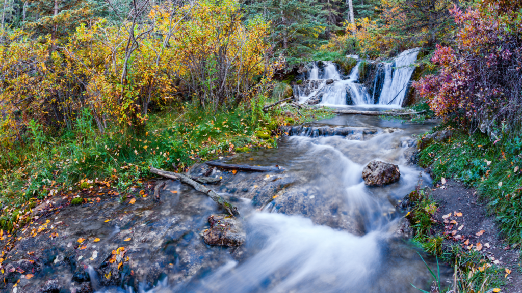 New directive results in changes to Provincial Parks Act - CPAWS ...