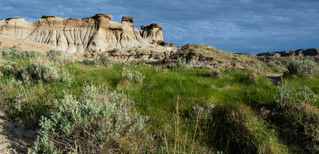 Province releases survey on the development of a new strategic vision ...