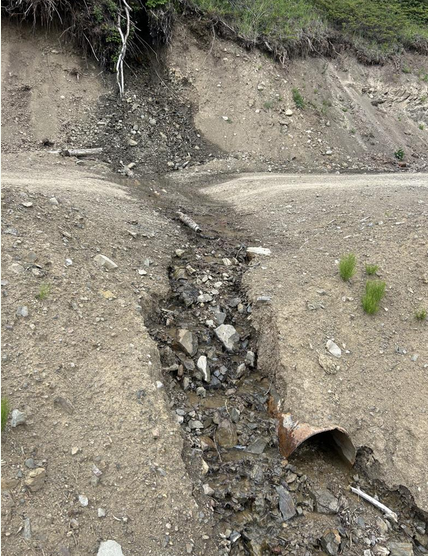 Logging Permits Approved in Key Trout Spawning Area of Oldman River ...